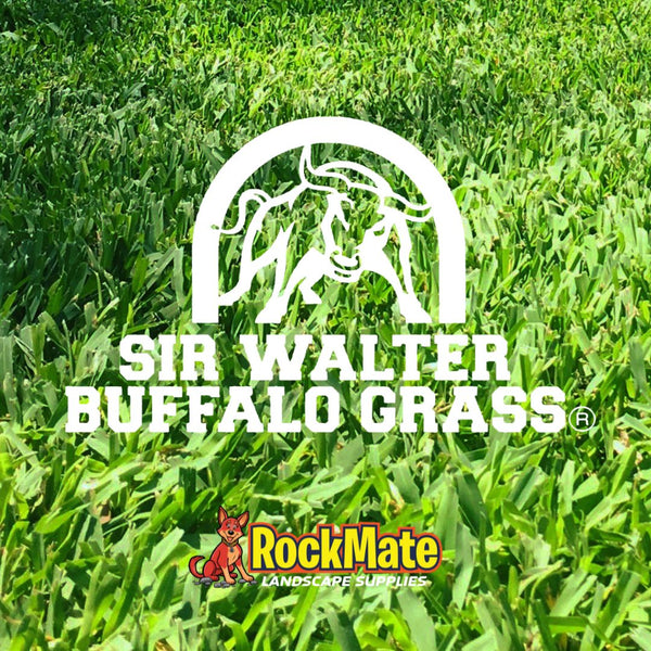 Sir Walter Turf – RockMate